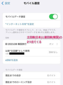 韓国旅行のeSIM購入はKKdayがおすすめ！使い方・設定について解説 | こりあんぐる
